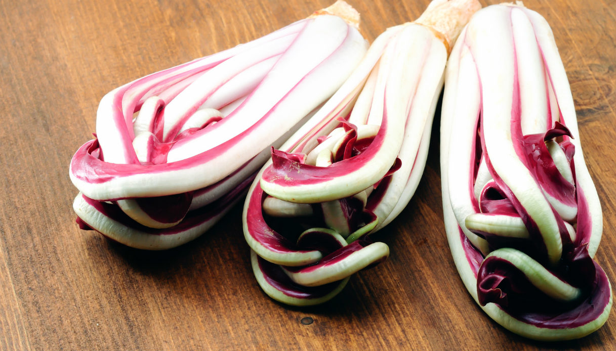 Radicchio di Treviso: stagione, storia e come cucinarlo