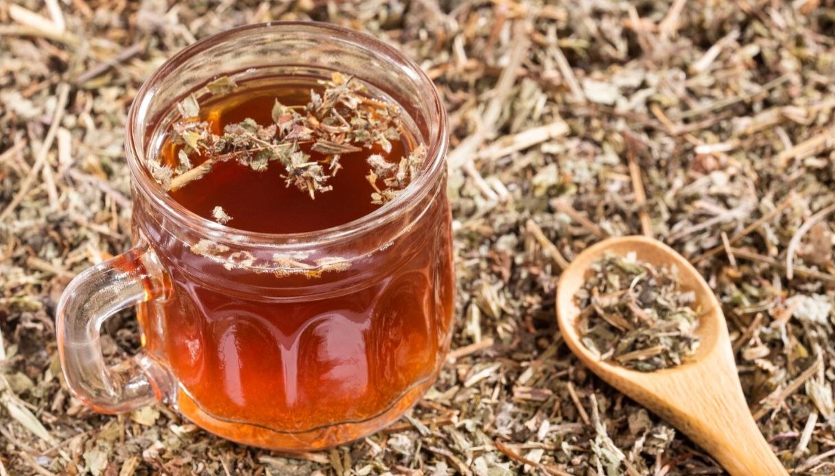 Chanca Piedra per tenere a bada pressione e zuccheri nel sangue