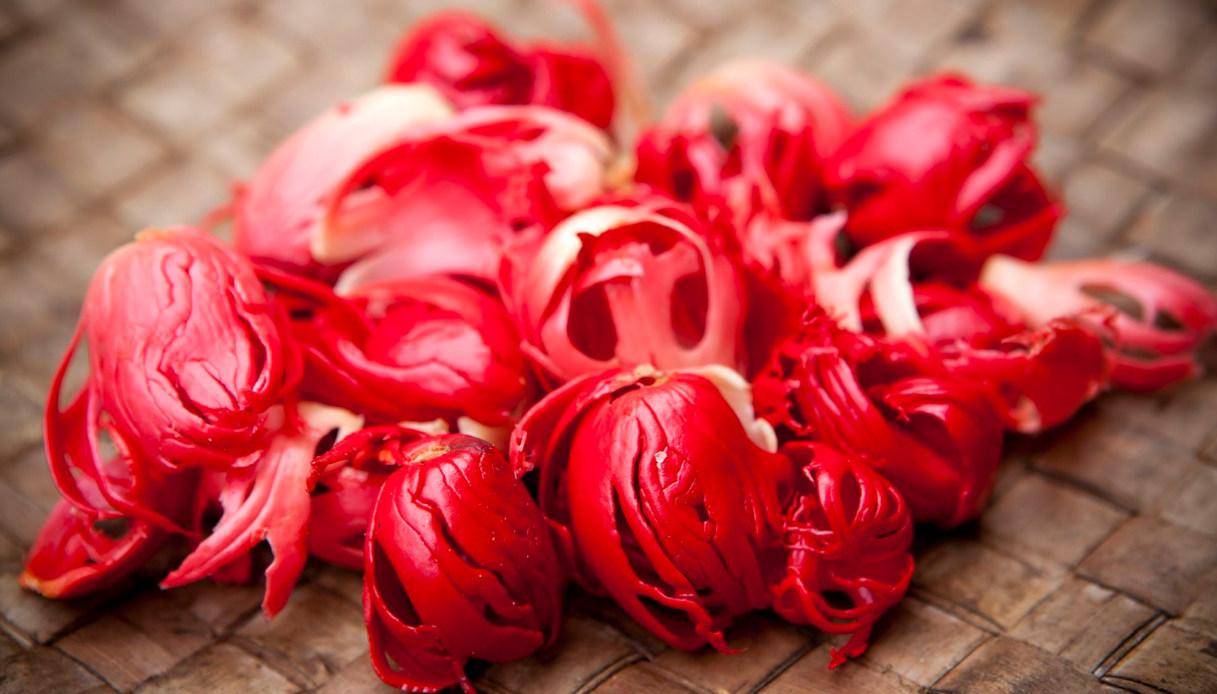 Macis, per migliorare il metabolismo e proteggere il cuore