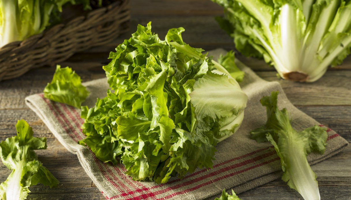 Dieta con la scarola, ricca di folati e alleata dell’intestino