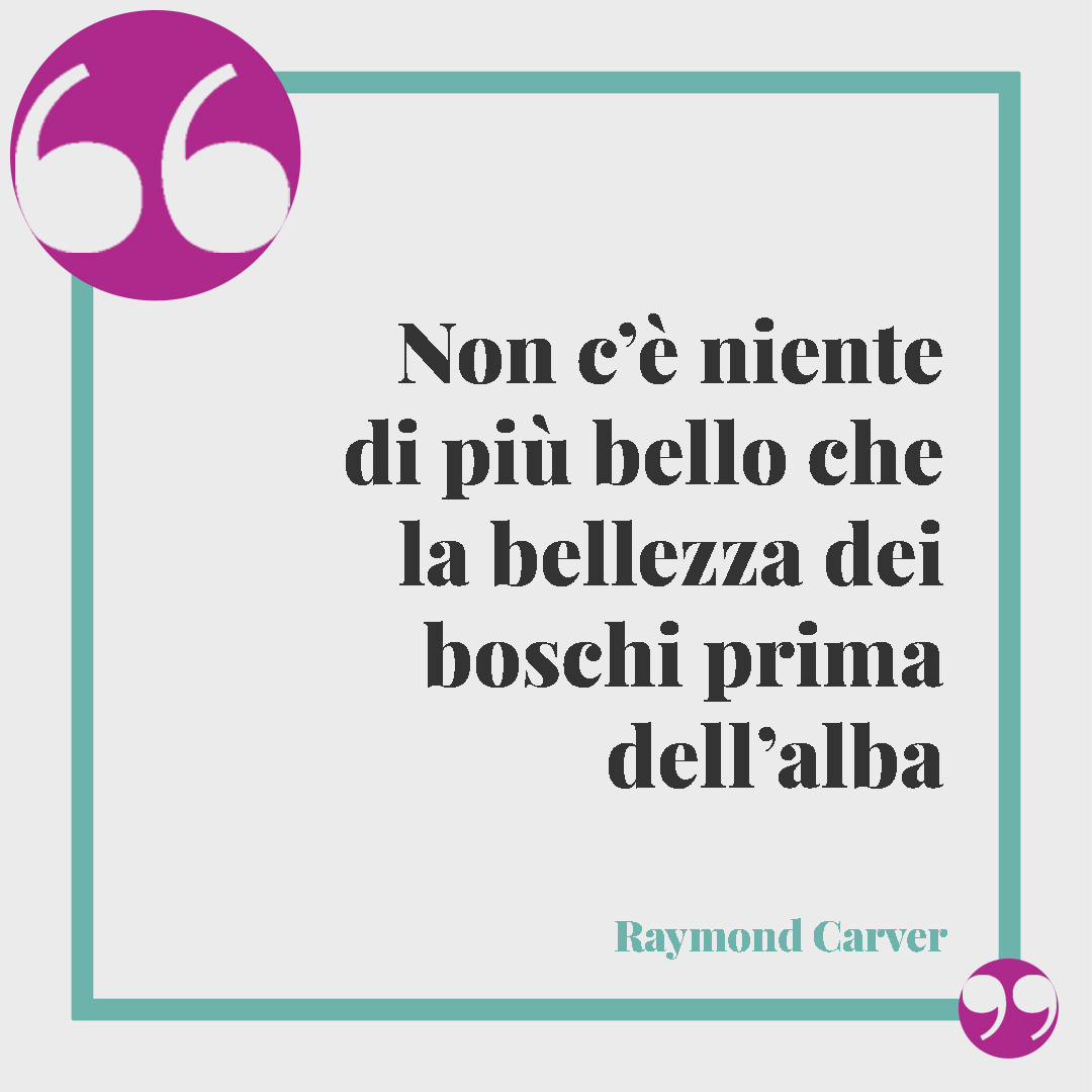 Frasi sull’alba, citazioni e aforismi profondi e suggestivi