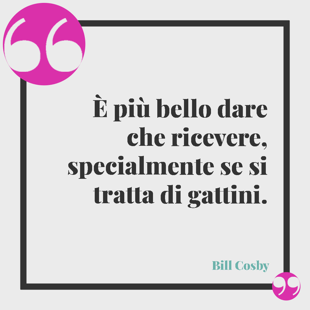 Frasi sui gatti: citazioni e aforismi