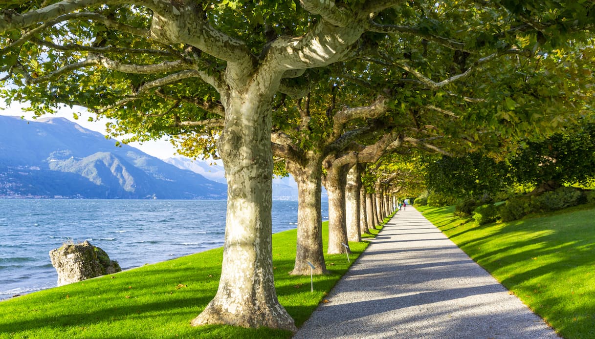 Alla scoperta di Villa Melzi d'Eril e dei suoi giardini