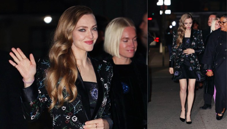 Amanda Seyfried Capelli Scuri Hair Positivity Psicologia Della Moda