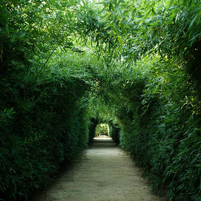 Il Labirinto della Masone, un viaggio tra verde, arte e meraviglie