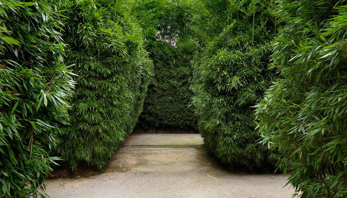 Il Labirinto della Masone, un viaggio tra verde, arte e meraviglie